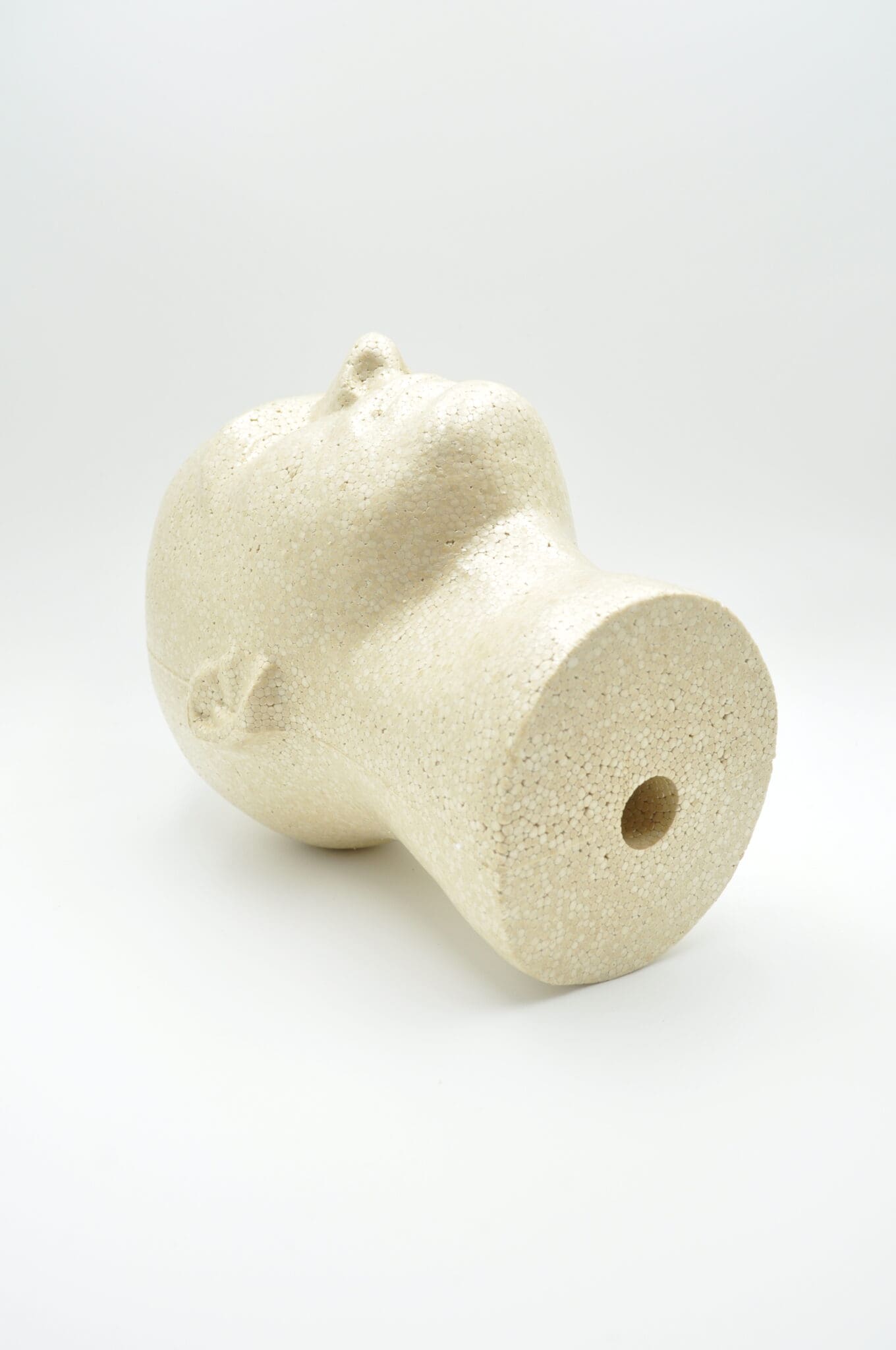 Hairess Male Styrofoam Styling Head, Gold - Treat Project B.V.